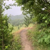 Norway Pass via Boundary Trail, Washington - 338 Reviews, Map | AllTrails