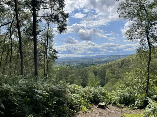Best Horseback Riding Trails in Surrey Hills National Landscape (AONB ...