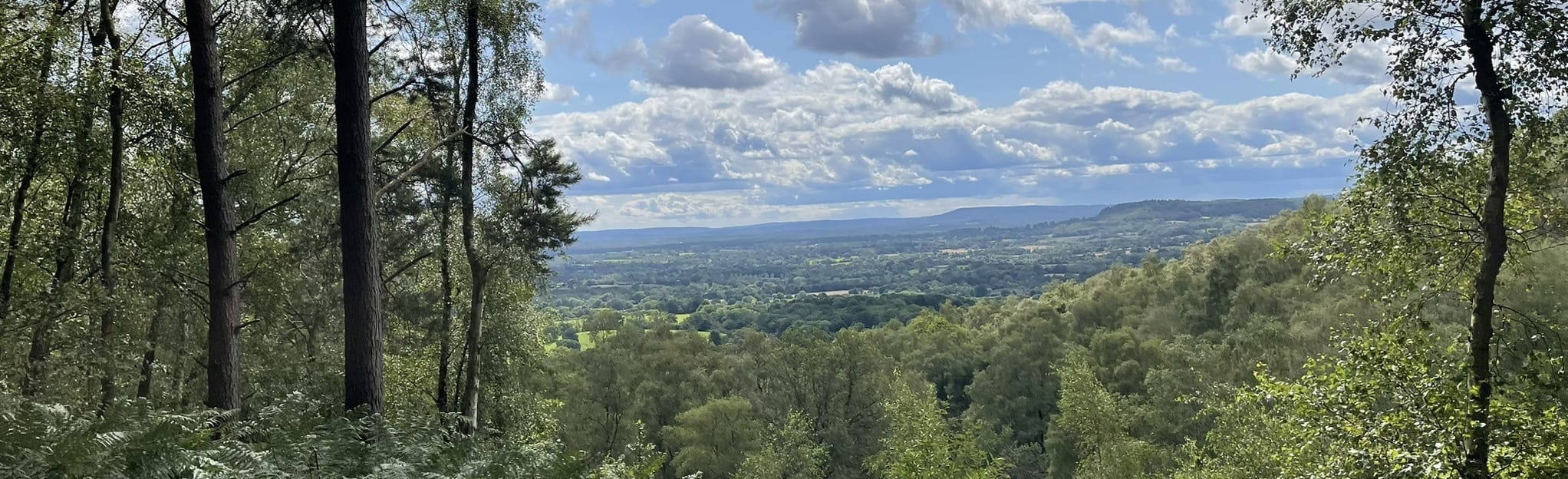 The Hurtwood and Winterfold Hill, Surrey, England - 58 Reviews, Map ...