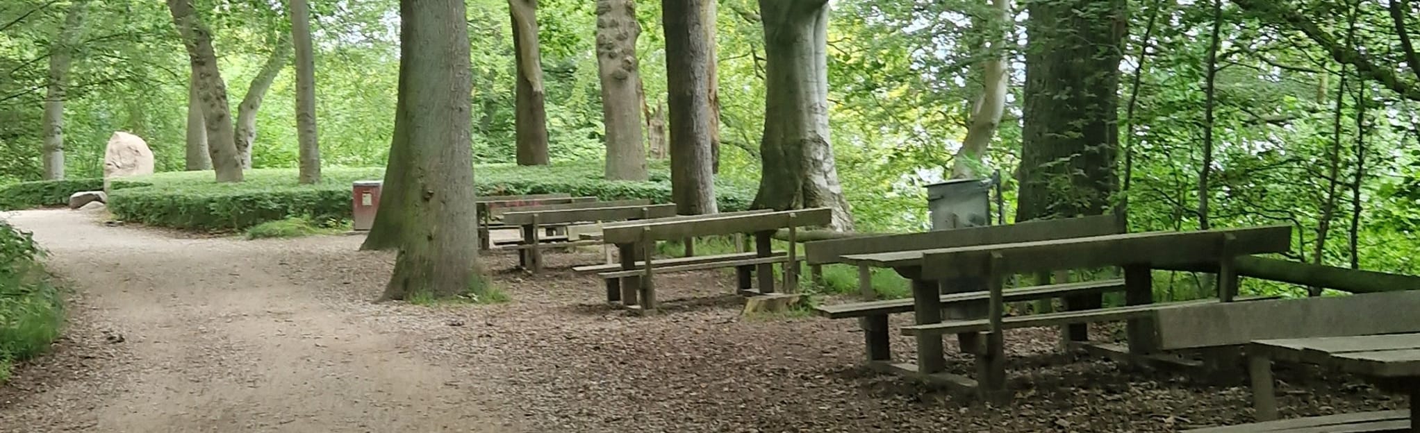 Fjellerup Strand - Aarhus: 13 Photos - Central Denmark, Denmark | AllTrails