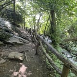 The Blue Ridge Escarpment, North Carolina - 159 Reviews, Map | AllTrails