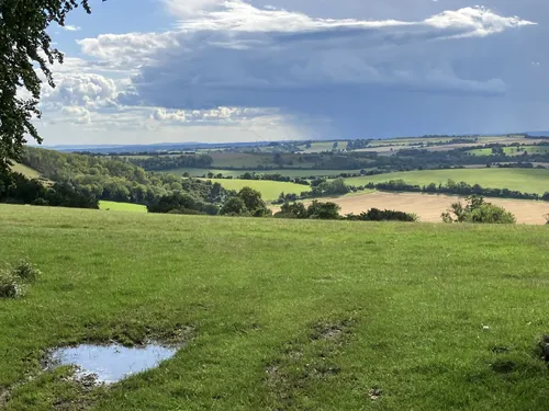 10 Best Walking Trails in Petersfield | AllTrails