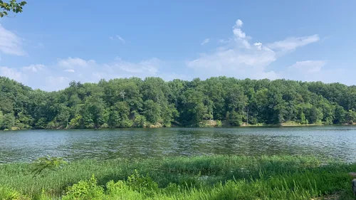 Best Hikes and Trails in Lake Ridge Community Park | AllTrails