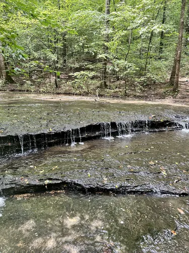 2023 Best River Trails in Joelton | AllTrails