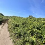 Black Point Trail, Rhode Island - 708 Reviews, Map | AllTrails