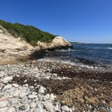 Black Point Trail, Rhode Island - 708 Reviews, Map | AllTrails