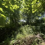 Black Point Trail, Rhode Island - 708 Reviews, Map | AllTrails