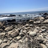 Black Point Trail, Rhode Island - 708 Reviews, Map | AllTrails