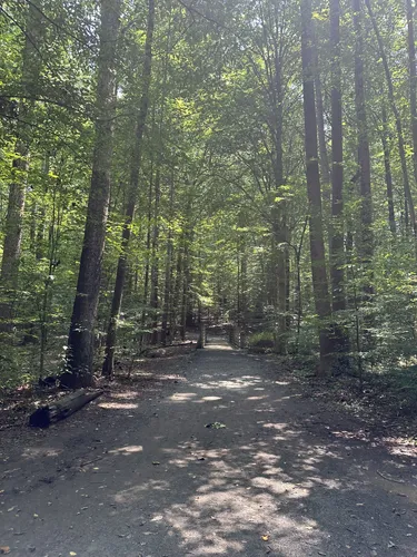 Best Hikes and Trails in Daniels Run Park | AllTrails