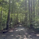 Daniel’s Run Park Loop, Virginia - 388 Reviews, Map | AllTrails