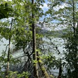 Colyer Lake Loop, Pennsylvania - 720 Reviews, Map | AllTrails