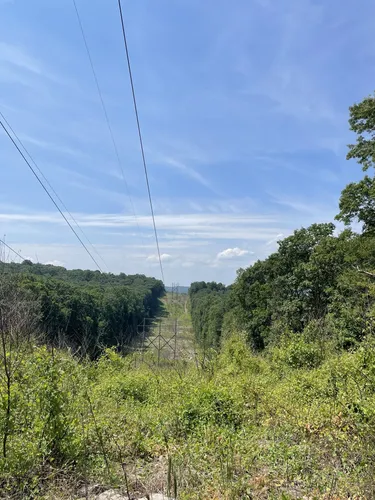 Best Hikes and Trails in Laurel Ridge State Park | AllTrails