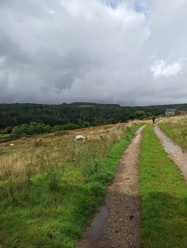 10 Best Railway Path Trails in North Yorkshire | AllTrails