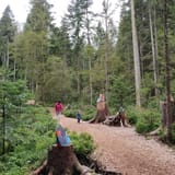 Zauberwald-Pfad - Bernau im Schwarzwald: 84 Fotos - Baden-Württemberg ...