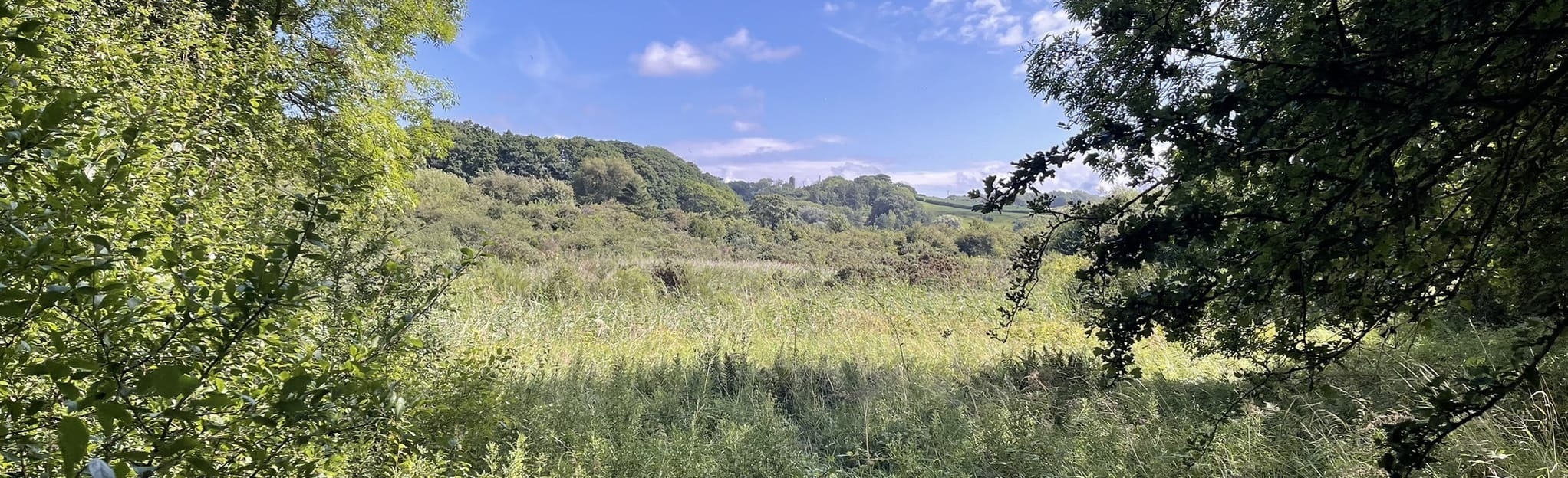 Esk Valley Walk: Egton to Whitby, North Yorkshire, England - 27 Reviews ...