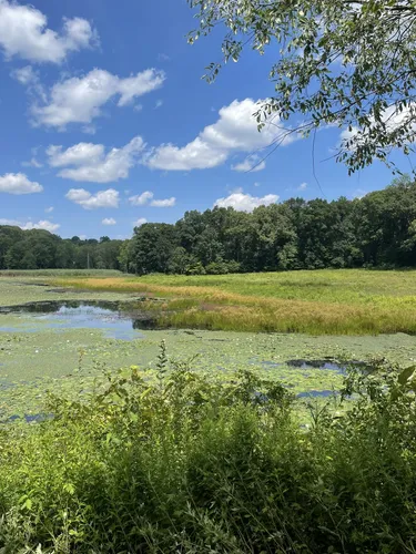 10 Best Rails Trails in Connecticut | AllTrails