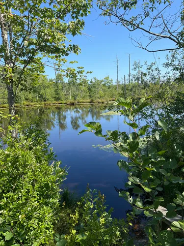 10 Best Trails and Hikes in Manchester | AllTrails