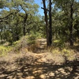 Lake Grapevine Horseshoe Trail, Texas - 1,978 Reviews, Map | AllTrails