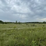 Puslinch Lake Loop, Ontario, Canada - 684 Reviews, Map | AllTrails