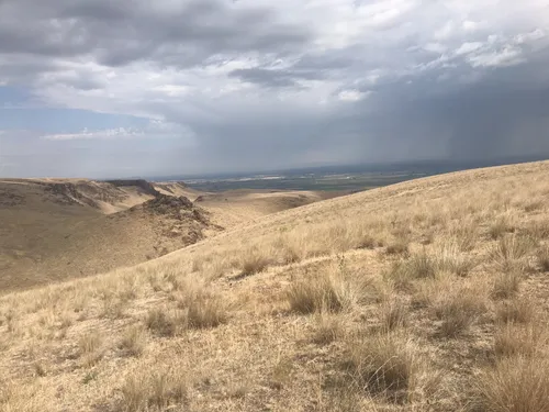 2023 Best Dogs On Leash Trails in Marsing | AllTrails