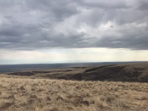 2023 Best Dogs On Leash Trails in Marsing | AllTrails