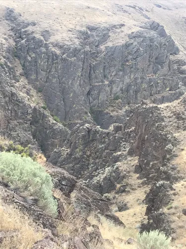 2023 Best Dogs On Leash Trails in Marsing | AllTrails