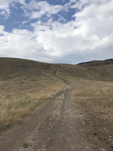 2023 Best Dogs On Leash Trails in Marsing | AllTrails