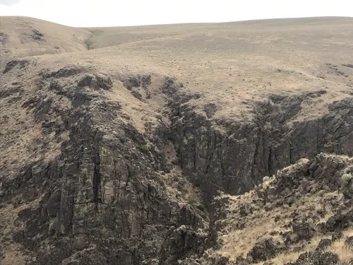 2023 Best Dogs On Leash Trails in Marsing | AllTrails