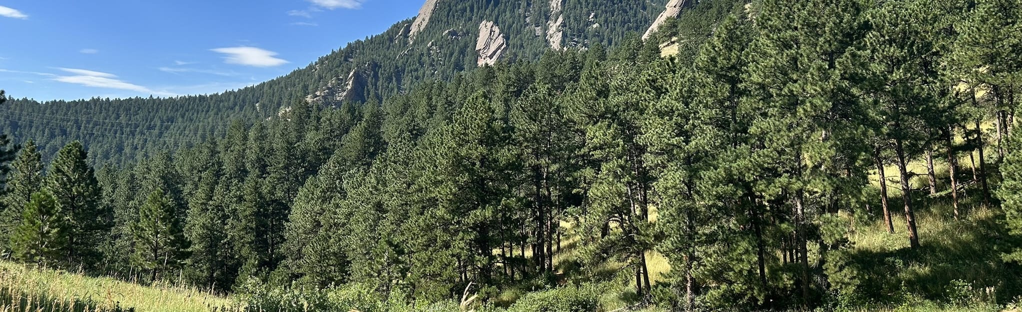 N.C.A.R to Mesa to Fern Canyon, Colorado - 970 Reviews, Map | AllTrails