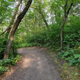 Pembina Rim Trail, Manitoba, Canada - 338 Reviews, Map | AllTrails