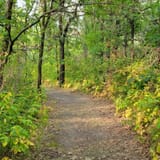 Pembina Rim Trail, Manitoba, Canada - 338 Reviews, Map | AllTrails