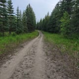 Pembina Rim Trail, Manitoba, Canada - 373 Reviews, Map | AllTrails