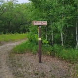 Pembina Rim Trail, Manitoba, Canada - 373 Reviews, Map | AllTrails