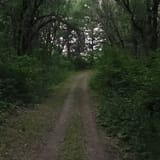 Pembina Rim Trail, Manitoba, Canada - 343 Reviews, Map | AllTrails