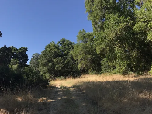 2023 Best Partially Paved Trails in Mount Hamilton | AllTrails