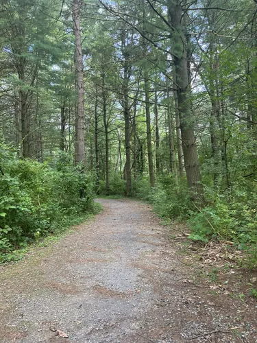 Best Hikes and Trails in Lederer Park | AllTrails