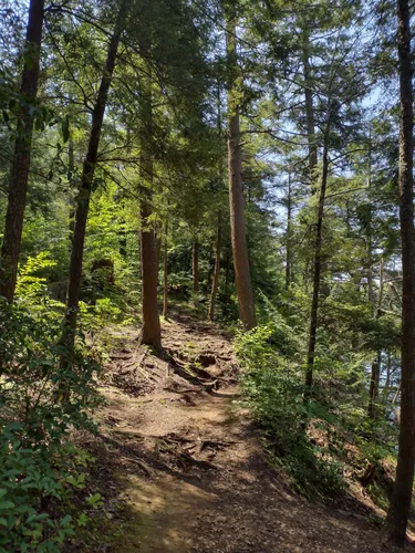 2023 Best Wild Flowers Trails in Kent Cliffs | AllTrails