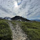 Mount Roberts Trail, Alaska - 456 Reviews, Map | AllTrails