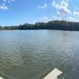 Lake Pine Loop, North Carolina - 988 Reviews, Map | AllTrails