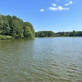 Lake Pine Loop, North Carolina - 988 Reviews, Map | AllTrails