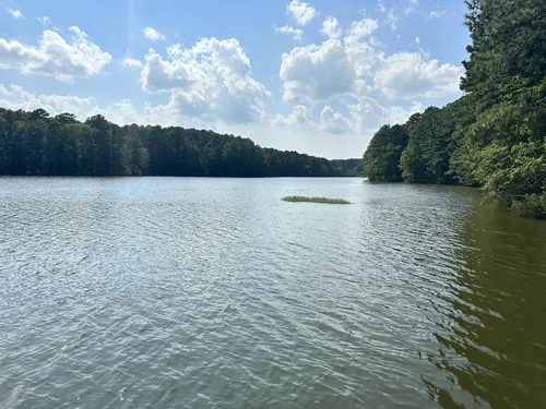Best Hikes and Trails in Apex Community Park | AllTrails