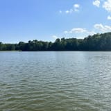Lake Pine Loop, North Carolina - 988 Reviews, Map | AllTrails