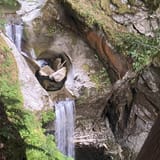 Racehorse Falls Trail, Washington - 433 Reviews, Map | AllTrails