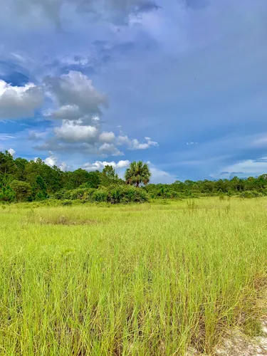 Best Hikes and Trails in Bluefield Preserve | AllTrails