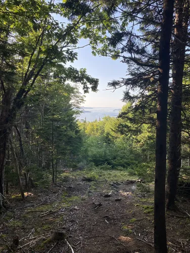 Best Hikes and Trails in Devil’s Head Conservation Area | AllTrails