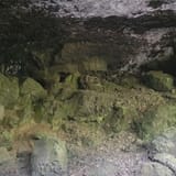 Boulder Cave Trail, Washington - 192 Reviews, Map | AllTrails