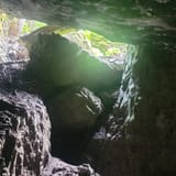 Boulder Cave Trail, Washington - 192 Reviews, Map | AllTrails
