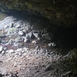 Boulder Cave Trail, Washington - 192 Reviews, Map | AllTrails