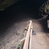 Boulder Cave Trail, Washington - 192 Reviews, Map | AllTrails