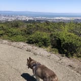 Sweeney Ridge Trail via Mori Ridge, California - 1,545 Reviews, Map ...